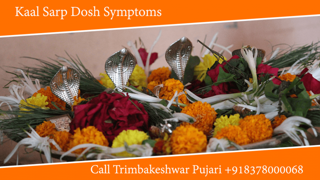 Symptoms Of Kaal Sarp Dosh | Trimbakeshwar Pujari