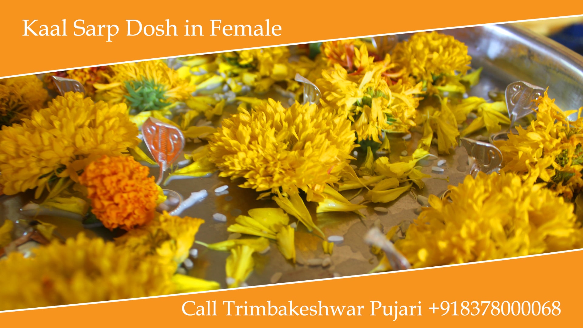 Kaal Sarp Dosh In Female | Trimbakeshwar Pujari